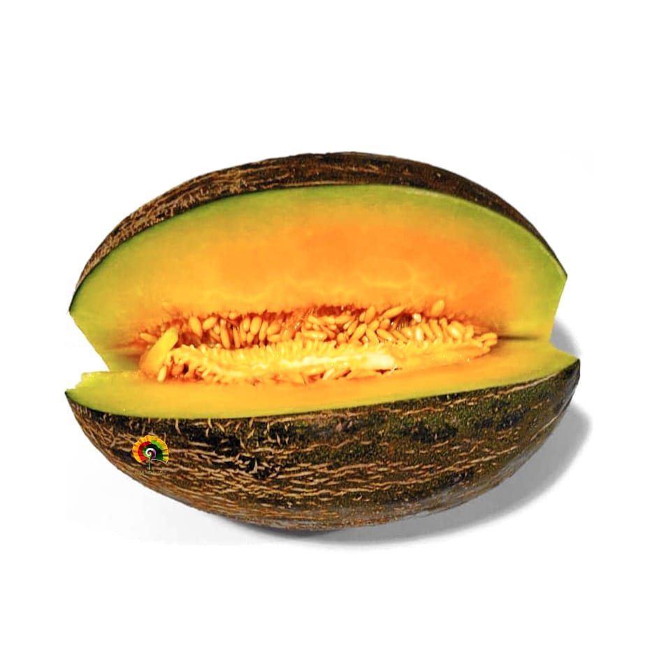Melón Rochet – 100 semillas